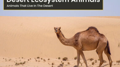 How Does Humidity Affect Air Pollution? - Earth Reminder