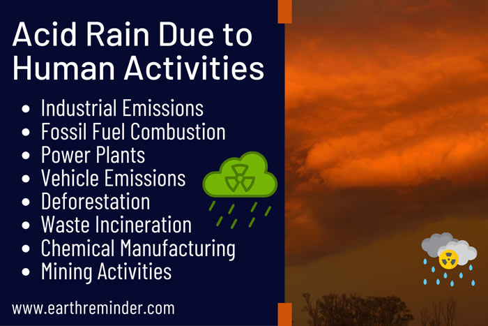 Acid Rain Causes Acid Rain Causes