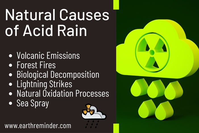 Acid Rain Causes Acid Rain Causes
