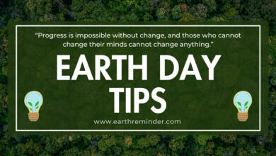 Why Is Earth Day Celebrated? | Why It Matters More Than Ever